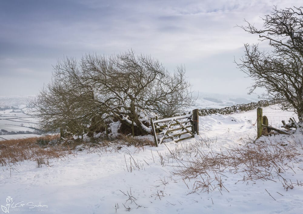 Roseberry Topping - The North Yorkshire Gallery