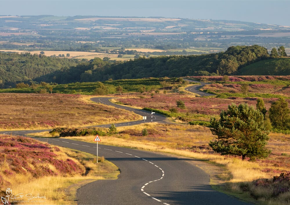 Roseberry Topping - The North Yorkshire Gallery