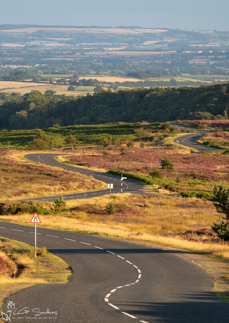 Blakey Ridge To Hutton Le Hole Portrait - The North Yorkshire Gallery