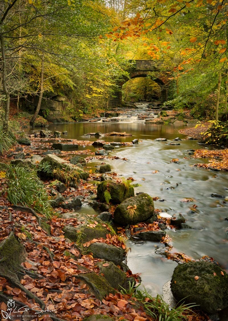 Falling Foss Bridge - The North Yorkshire Gallery