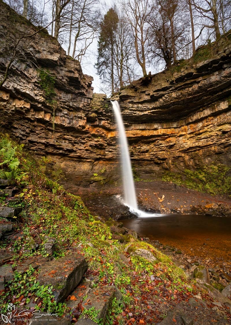 Hardraw Force Portrait - The North Yorkshire Gallery