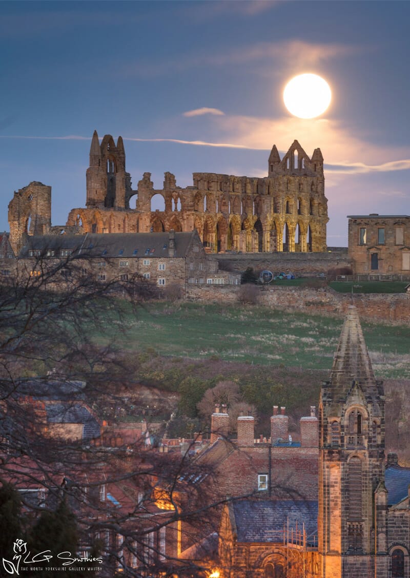 WHITBY Gallery - The North Yorkshire Gallery