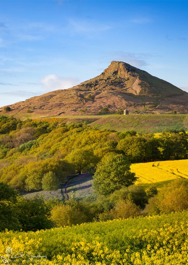 Roseberry Topping - The North Yorkshire Gallery