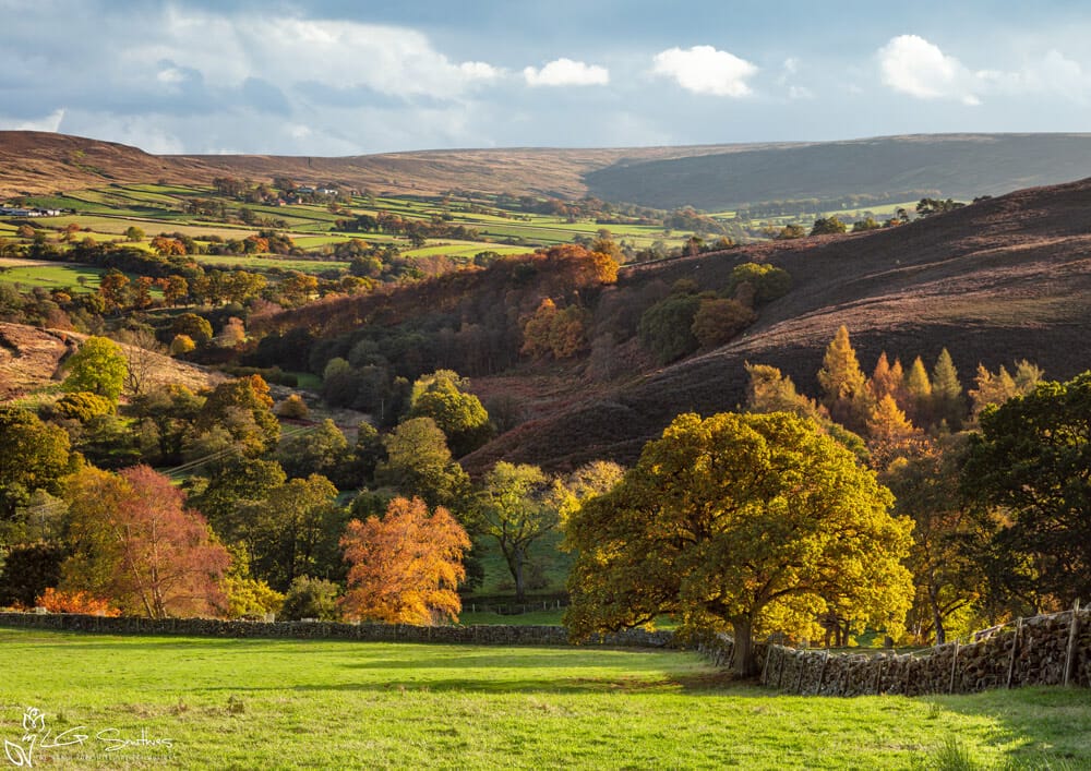 Westerdale In The Autumn Sunshine - The North Yorkshire Gallery